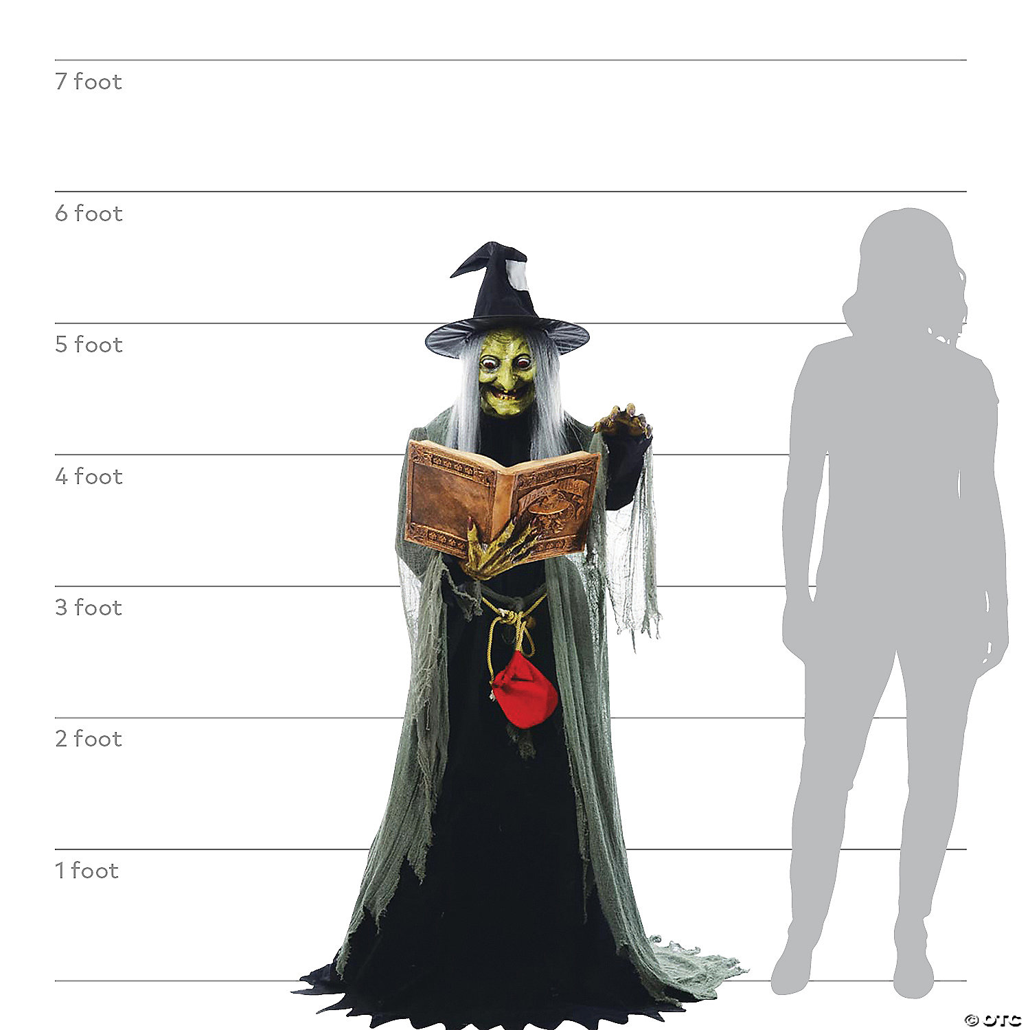 Spell-Speaking Witch Animated - The Party Warehouse